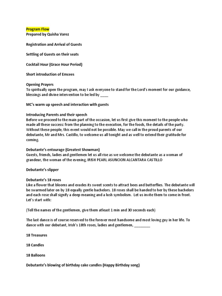 Program Flow Debut | PDF