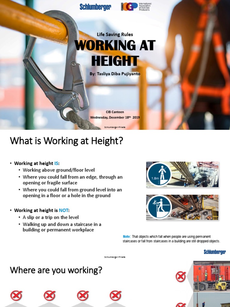 LSR - Working at Height | PDF