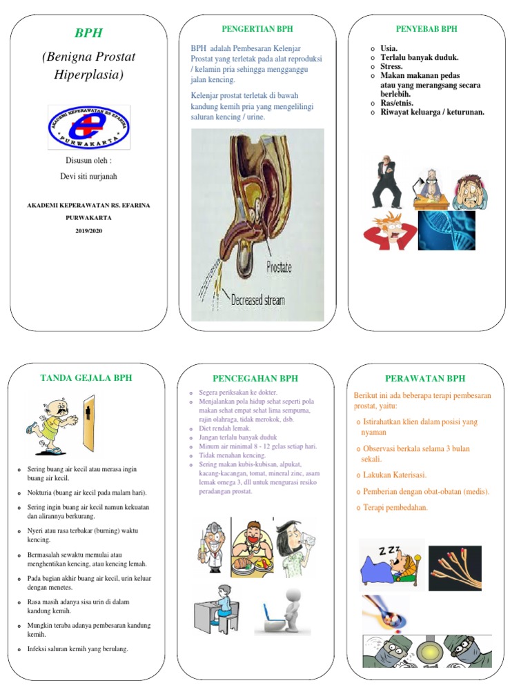 Leaflet BPH Devi | PDF