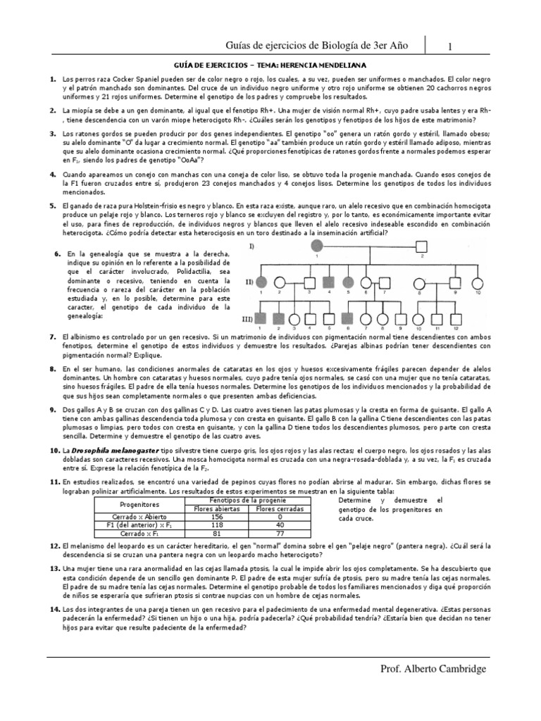 Guía de Ejercicios de Genética Mendeliana | PDF | Dominancia (Genética ...
