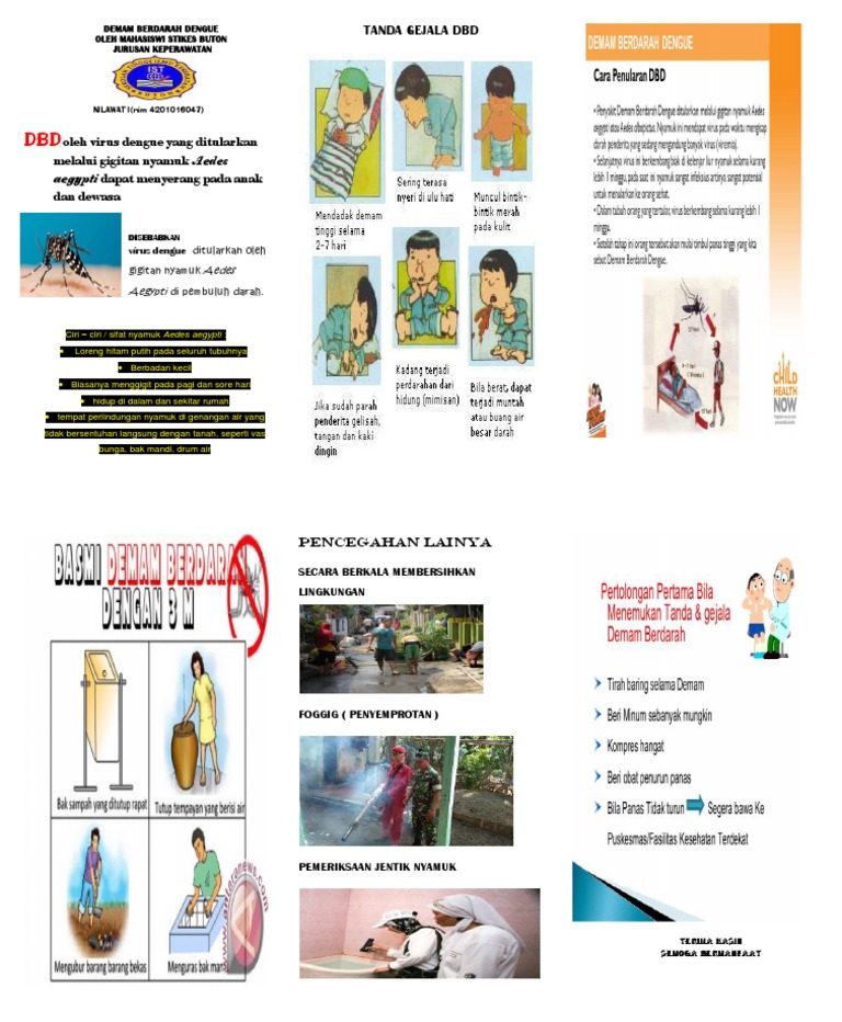 Leaflet DBD Benar | PDF