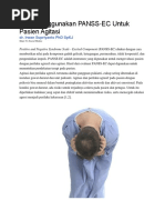 Panss Ec | PDF