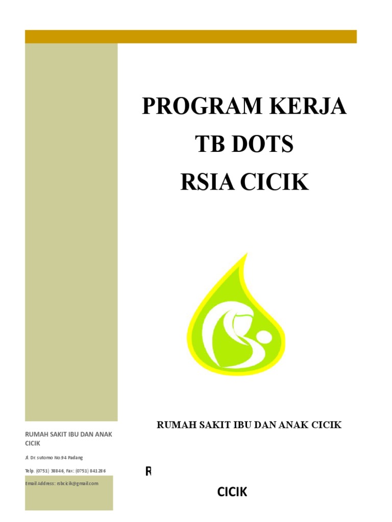 Program Kerja TB DOTS RSIA Cicik | PDF