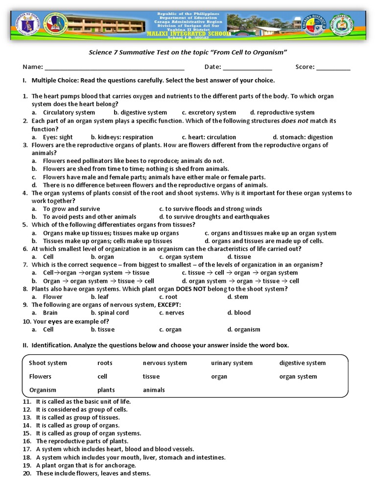 Summative Test - FROM CELL TO ORGANISM | PDF | Organ (Anatomy) | Tissue ...