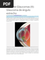 Glaucoma Question | PDF | Glaucoma | Percepción visual
