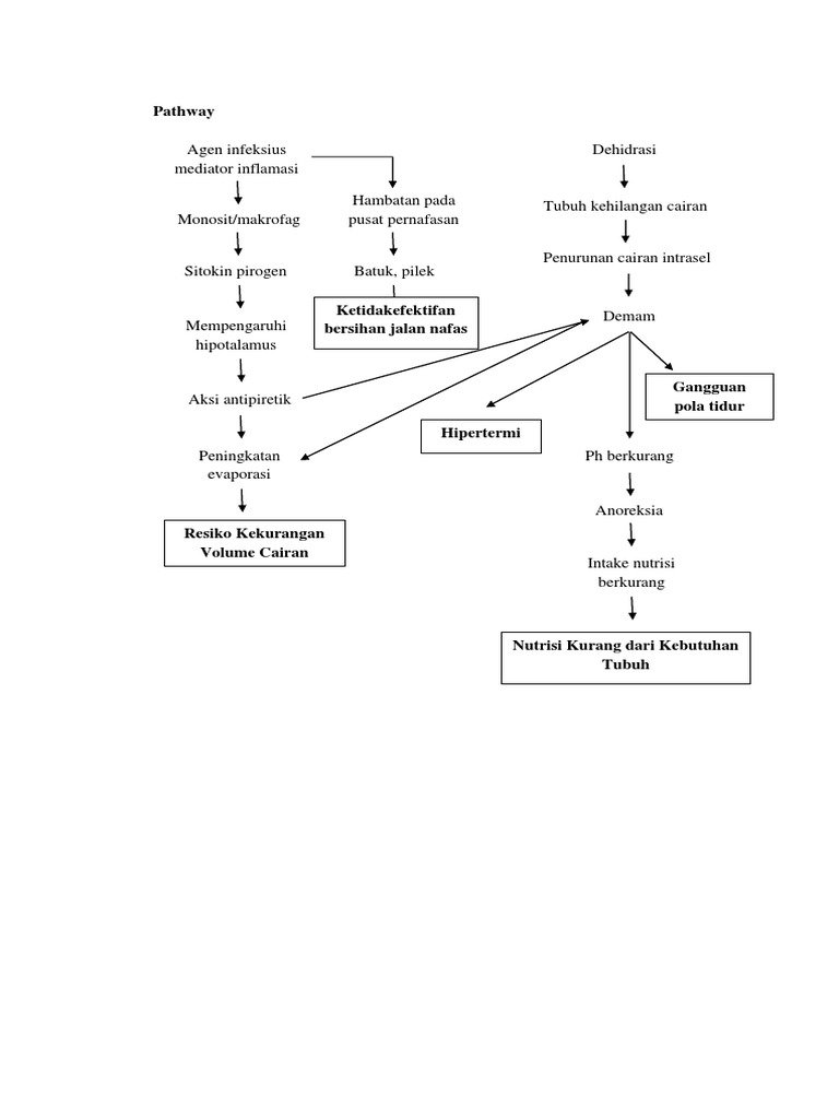 Pathway Febris | PDF