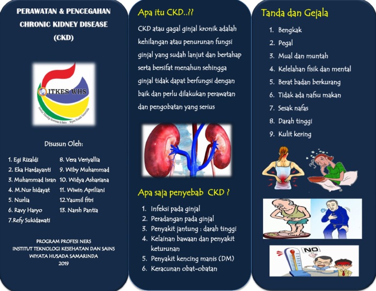 Leaflet CKD | PDF