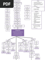 LP Tetraparese | PDF