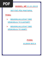 Filma24.LOL Filma Dhe Seriale Me Titra Shqip HD | PDF