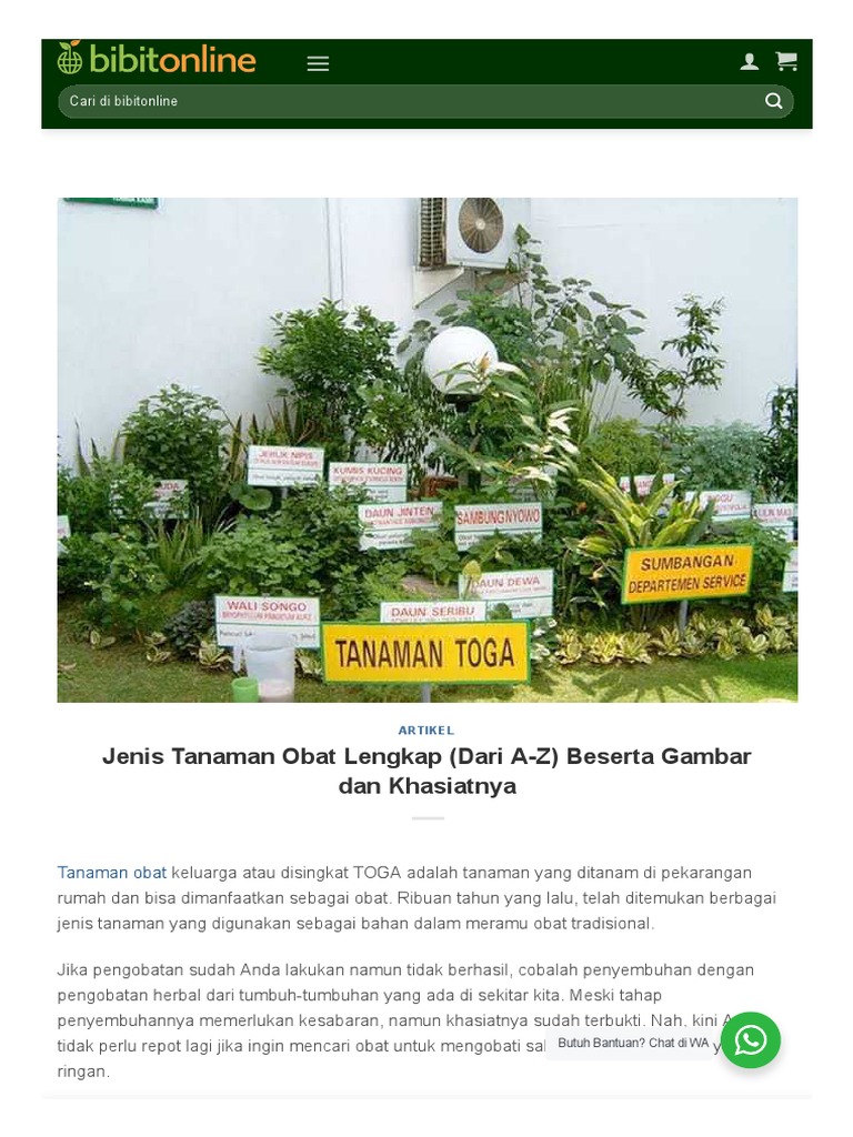 Jenis Tanaman Obat Lengkap (Dari A-Z) Beserta Gambar Dan Khasiatnya ...
