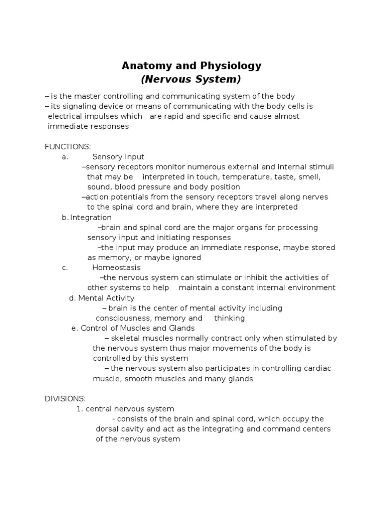 Anatomy and Physiology (Nervous System) | PDF | Nervous System ...
