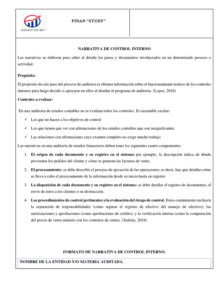 Narrativa Control Interno | PDF | Auditoría | Informática