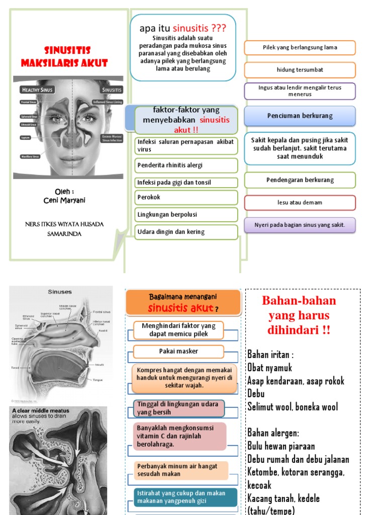 Leaflet Sinusitis | PDF