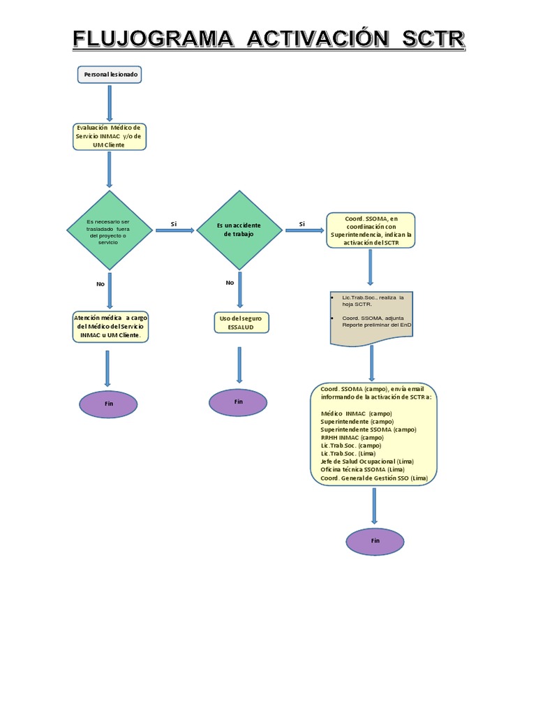 Flujograma Activación SCTR | PDF