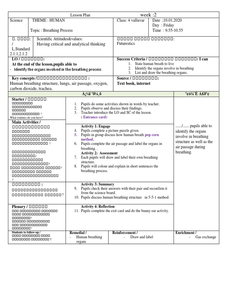 Breathing Organs Lesson Plan | PDF | Breathing | Respiratory System