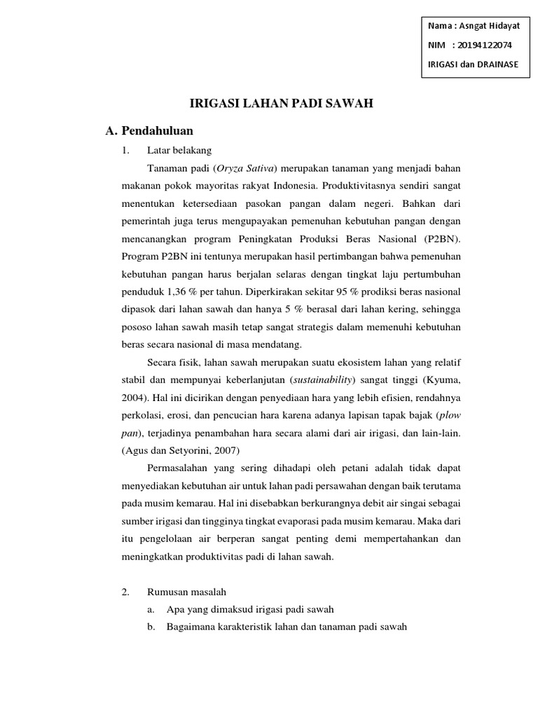 Irigasi Lahan Padi Sawah | PDF