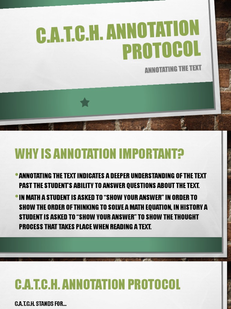 Catch Annotation Protocol 3 1 Pdf