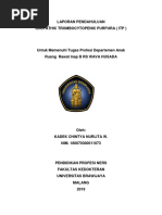 LP Leukemia Limfoblastik Akut | PDF