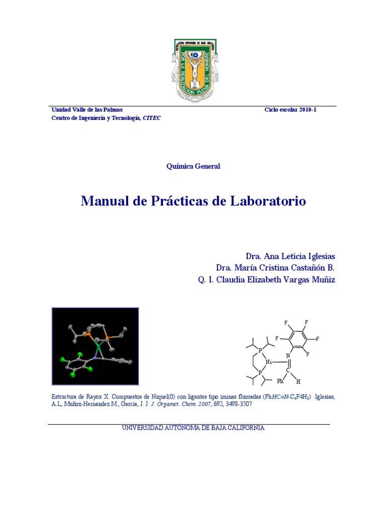 Manual de Practicas de Laboratorio | PDF | Valoración | Química