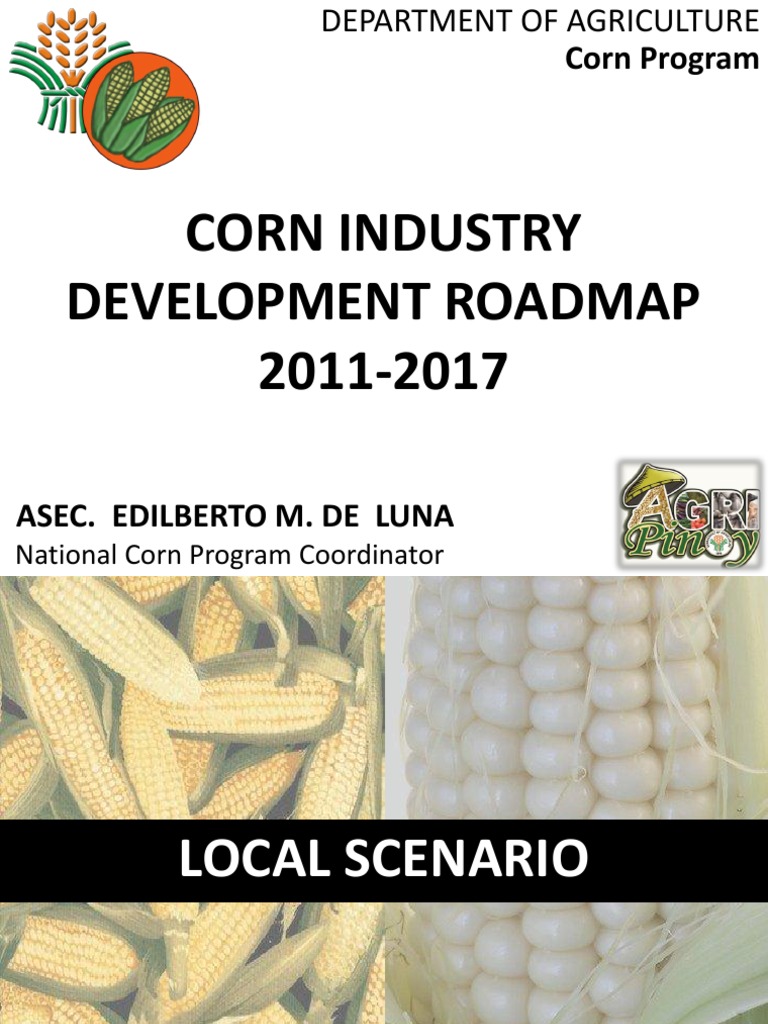 Corn Roadmap | PDF | Maize | Crop Yield