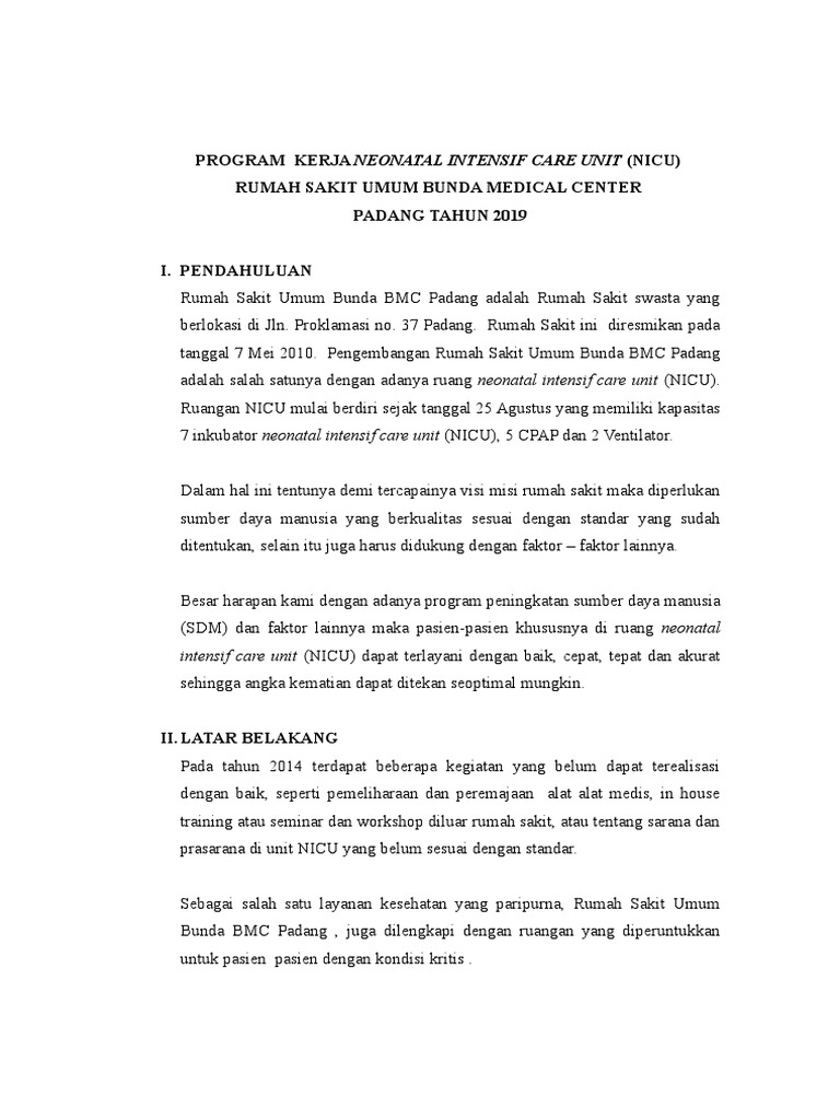PROGRAM KERJA NICU Ok | PDF