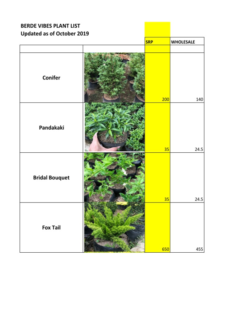Green Plants | PDF | Plants | Horticulture And Gardening