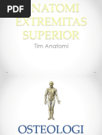 Knee Exercises-OrthoInfo - AAOS | PDF | Foot | Knee