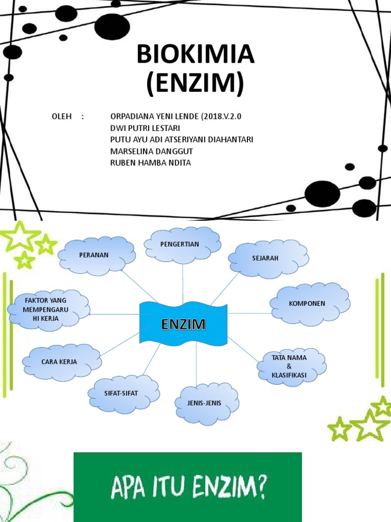 Biokimia Enzim | PDF