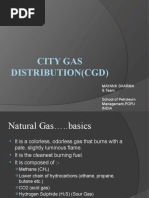 PNGRB Guidelines Overview | PDF | Natural Gas | Pipeline Transport