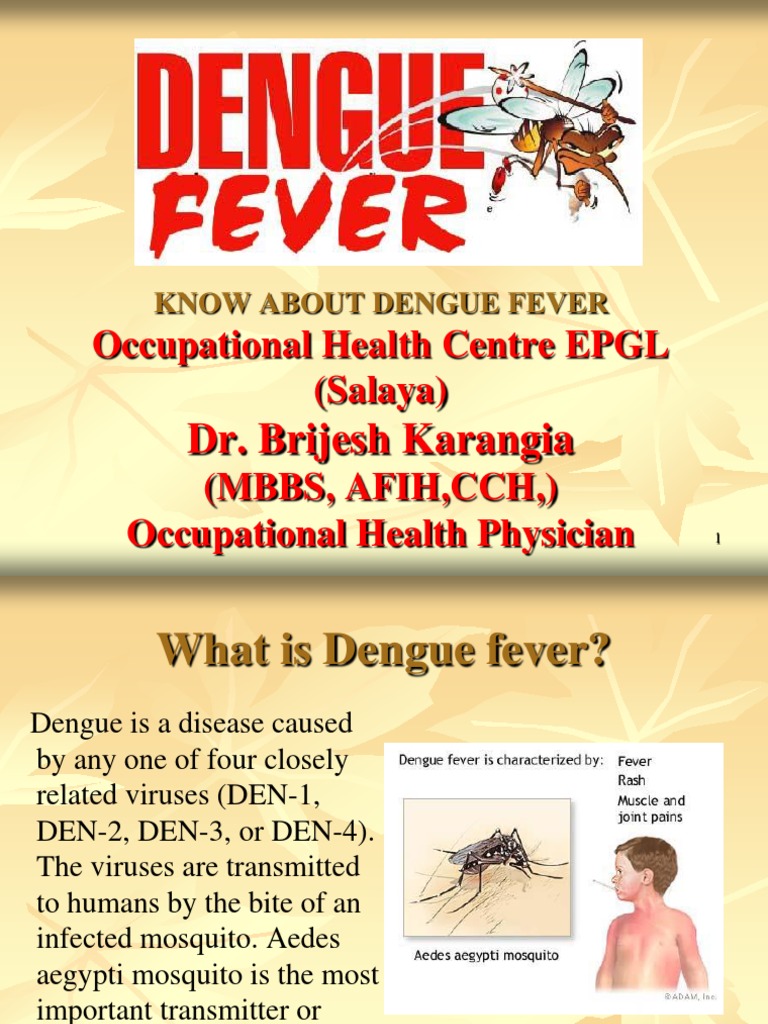Understanding Dengue Fever Basics | PDF | Virology | Microbiology