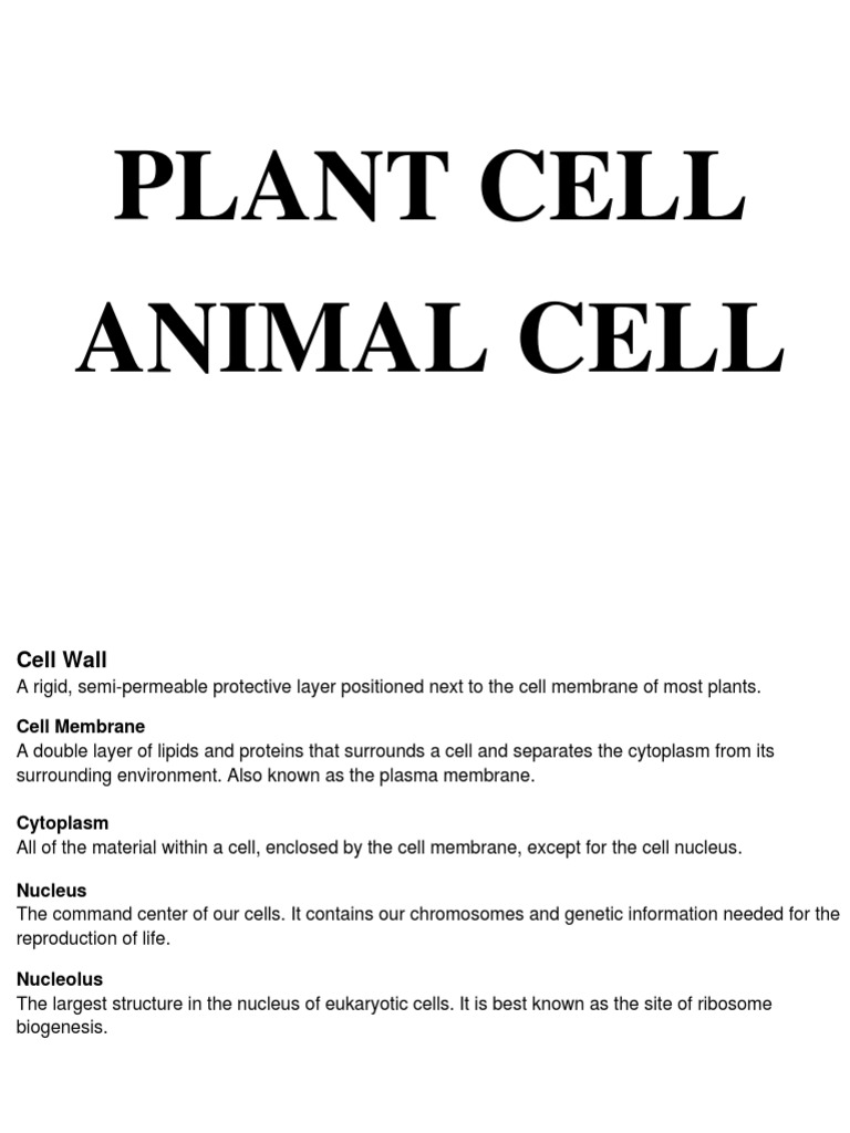 Plant Cell | PDF