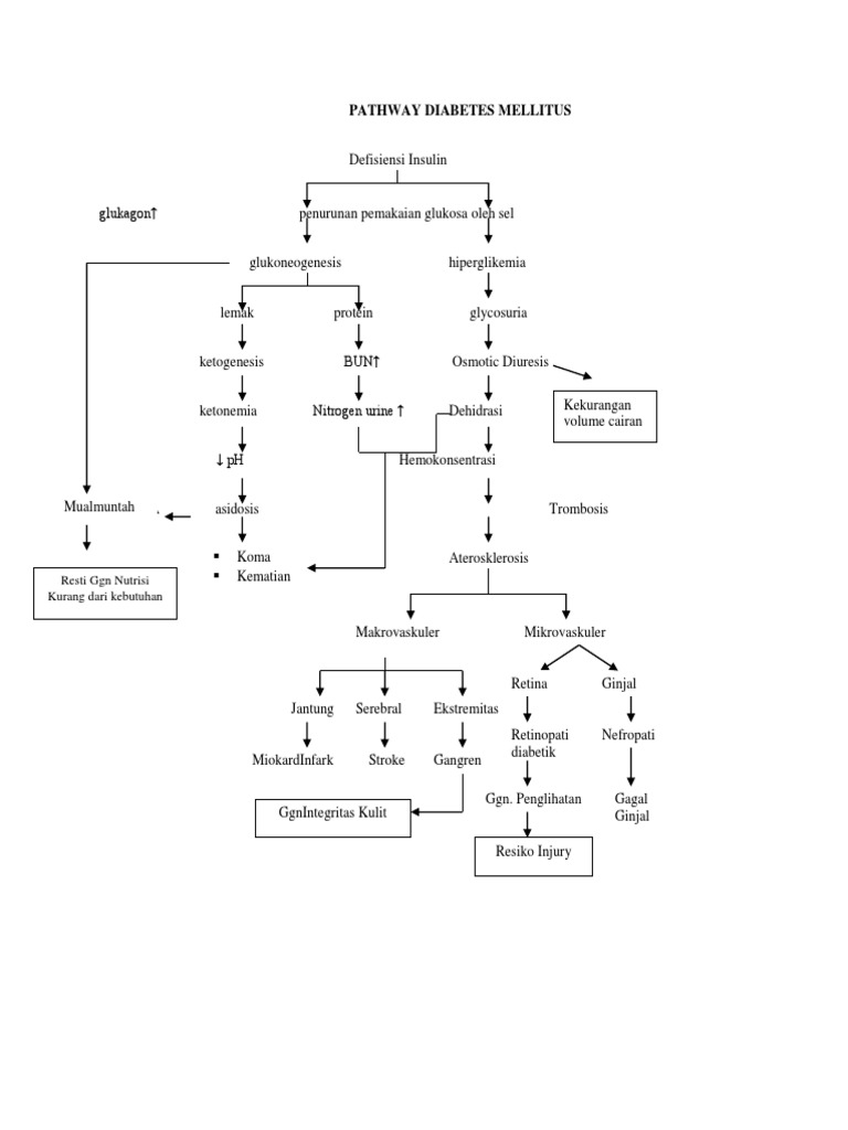 Pathway Diabetes Mellitus (+) | PDF