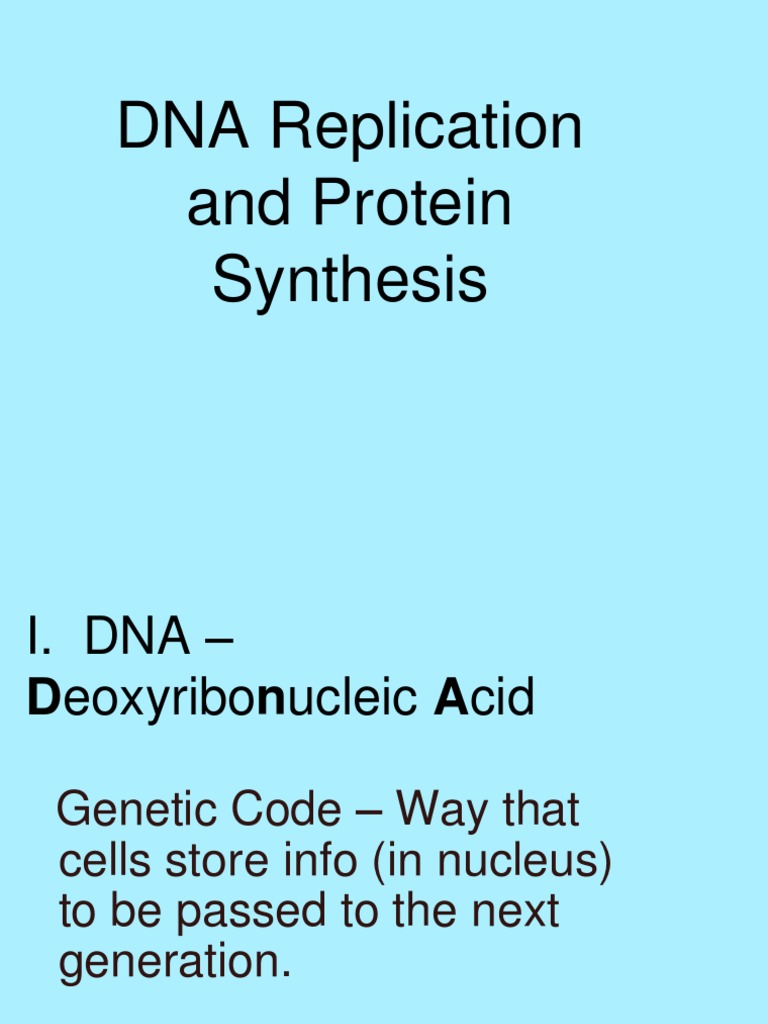 DNA Replication and Protein Synthesis Guide | PDF | Rna | Messenger Rna