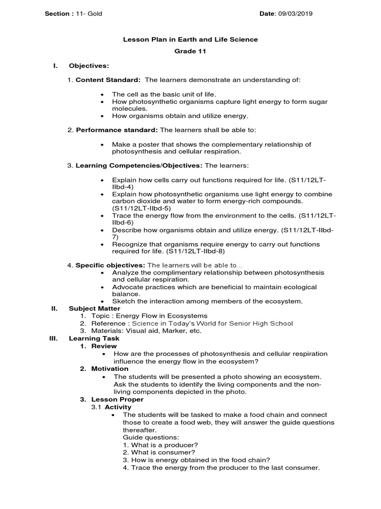 Energy Flow in Photosynthesis Lesson | PDF | Cellular Respiration ...