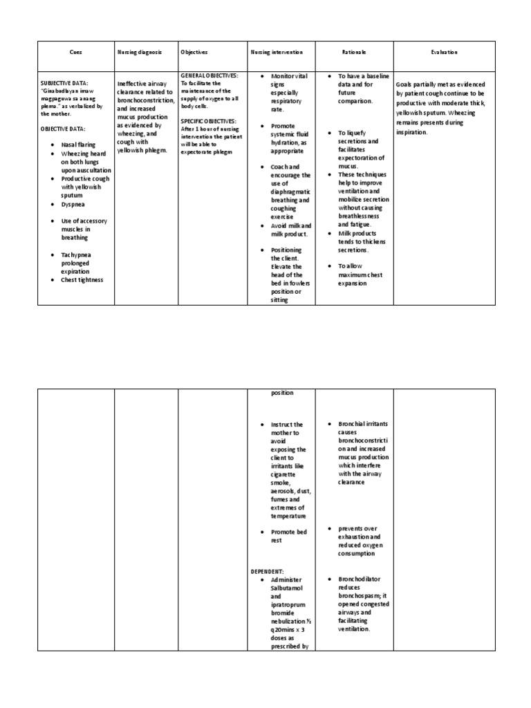 NCP Ineffective Airway Clearance | PDF | Respiratory Tract | Cough