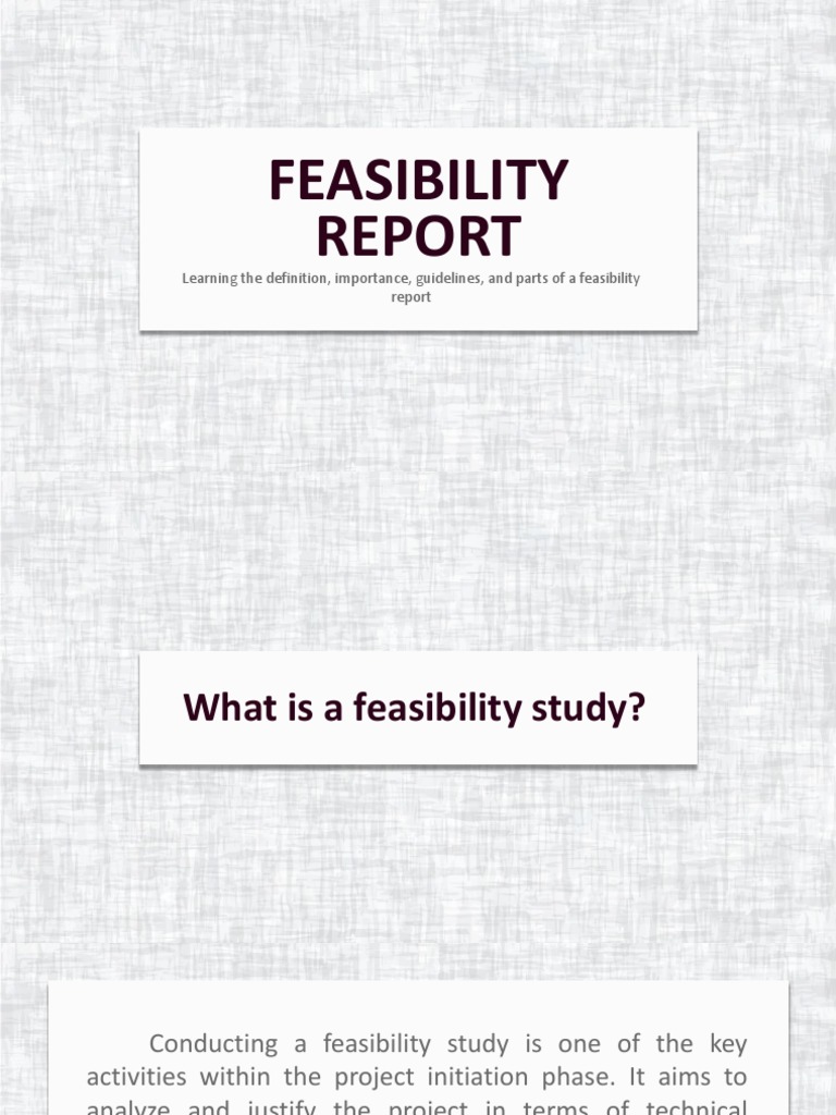 Feasibility Report | PDF | Feasibility Study | Online Shopping