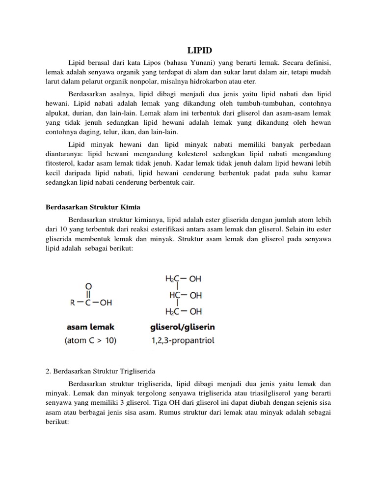 Struktur dan Klasifikasi Lipid | PDF