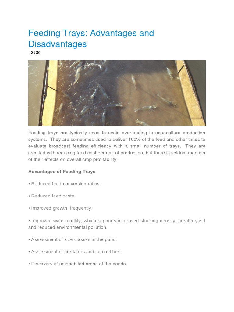 Feeding Trays | PDF | Shrimp | Aquaculture
