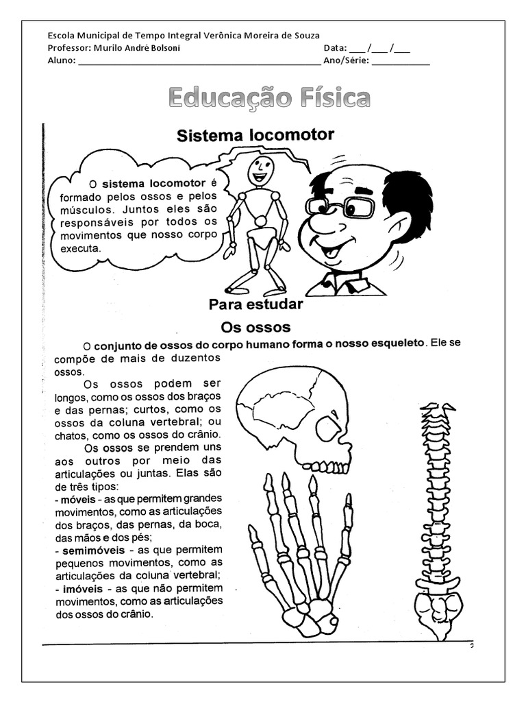 Atividades Do Sistema Locomotor 5º Ano Pdf