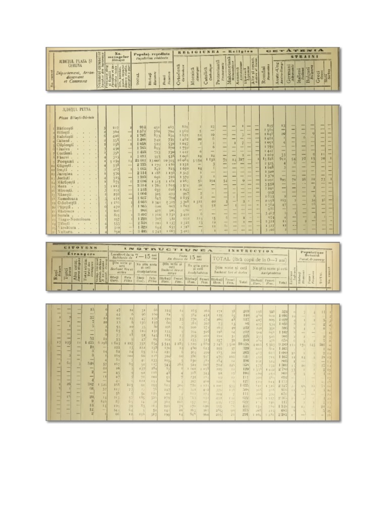 Recensamant 1899 | PDF