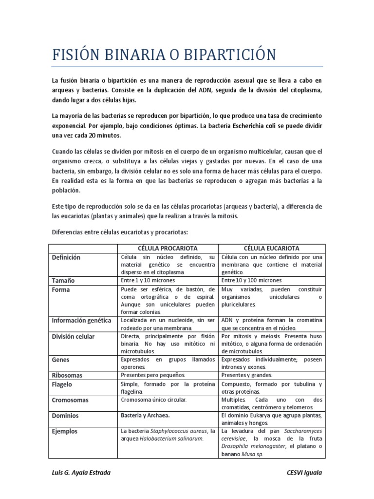Fisión Binaria o Bipartición | PDF | Biología Celular) | Replicación De Adn