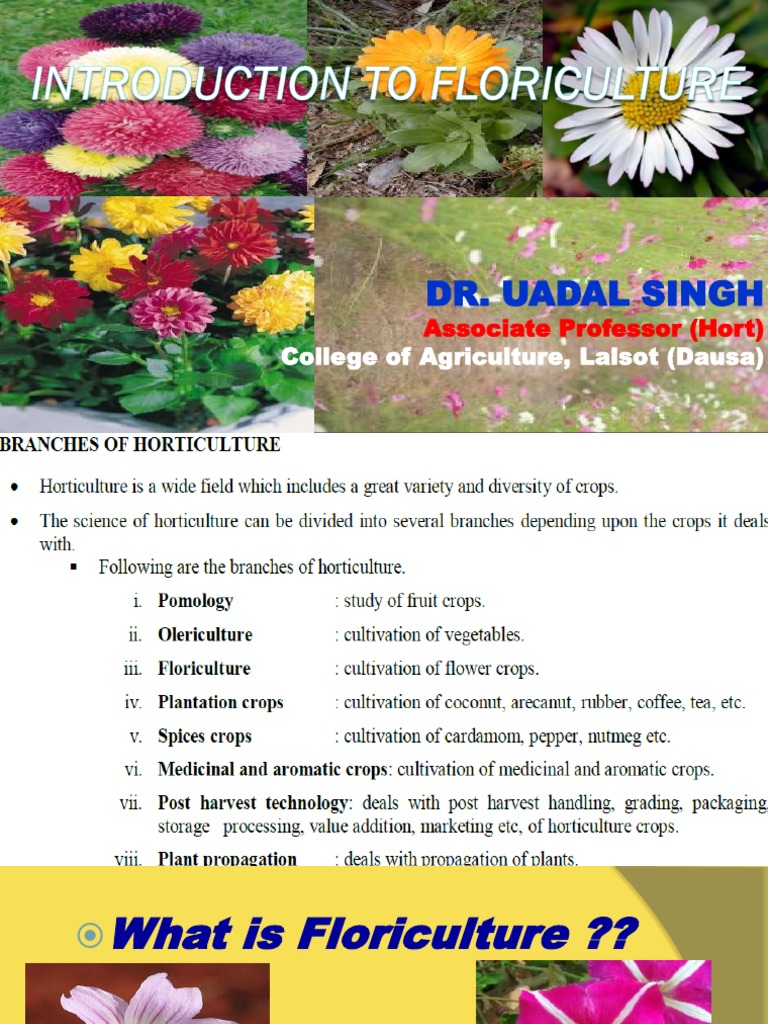 Introduction To Floriculture | PDF | Perennial Plant | Flowers