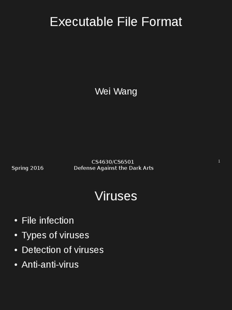 Executable File Format | PDF | Library (Computing) | Systems Engineering