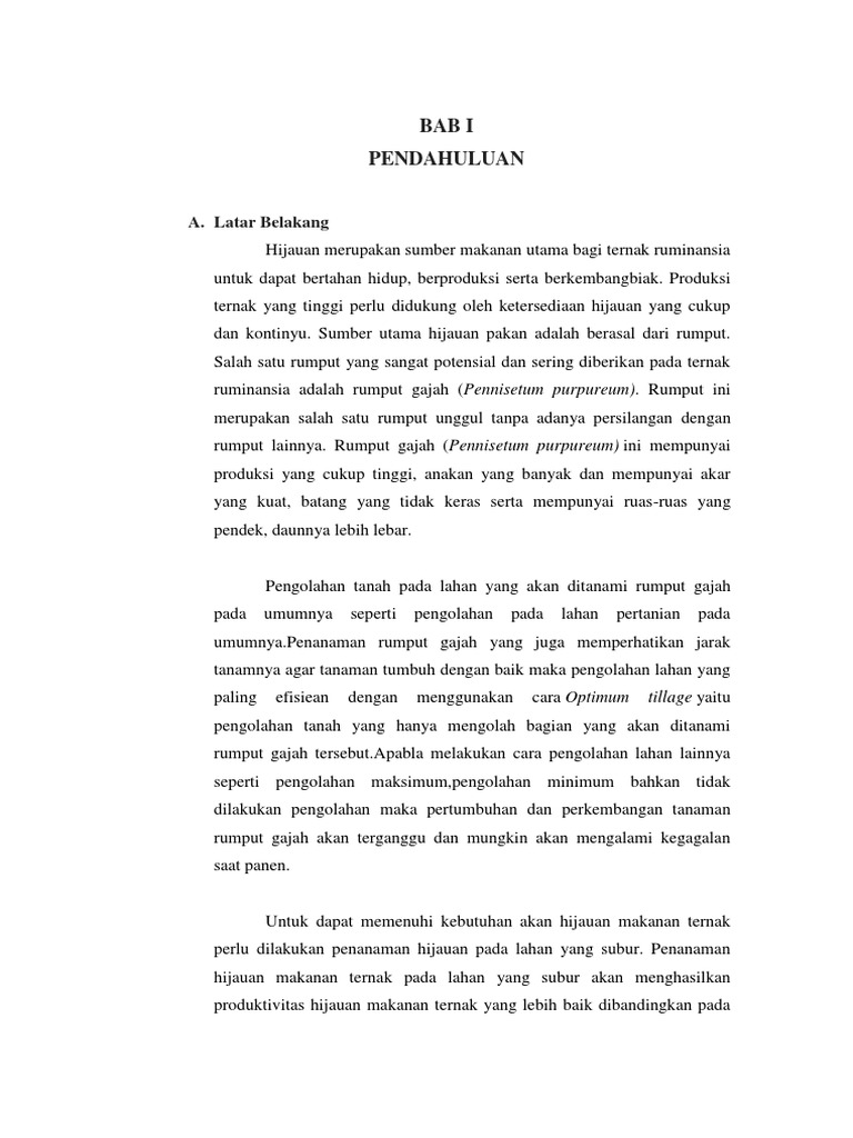 Penanaman Rumput Gajah | PDF