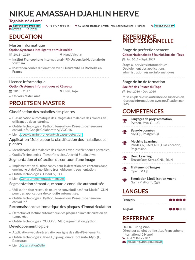 Nikue CV PDF | PDF | Java (Langage de programmation) | Technologie numérique
