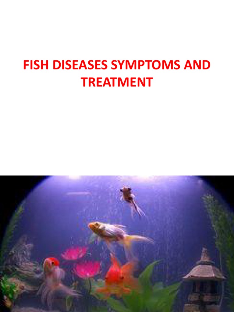 75..fish Diseases Symptoms | PDF | Aquarium | Medical Specialties