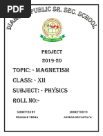 Physics Project On Magnetism | PDF | Magnetism | Ferromagnetism