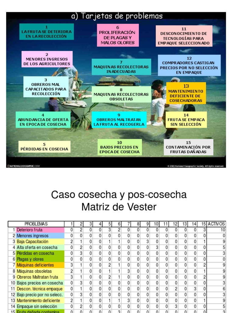 Presentacion Matriz de Vester Parte 2 | PDF | Informática y tecnología ...