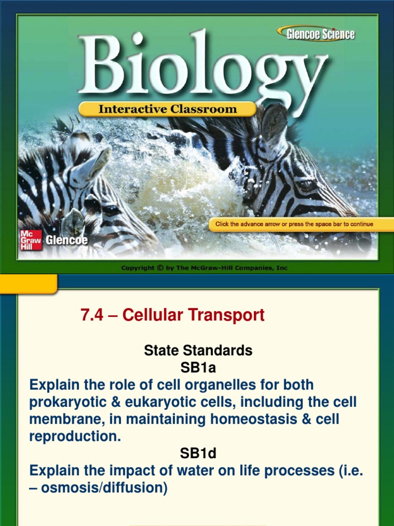 Cellular Transport Notes (7.4) - Screen | PDF | Osmosis | Cell Membrane