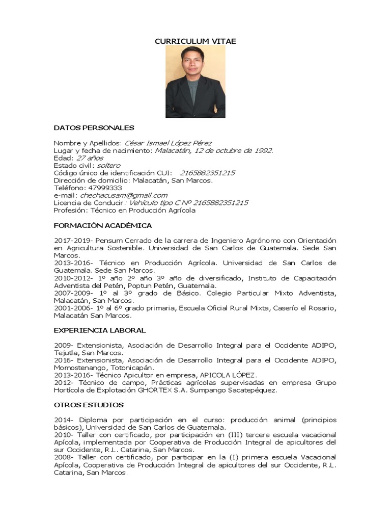 CURRICULUM VITAE César López | PDF
